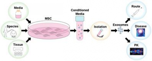 Conditioned Medium VS Exosome - PT Prodia StemCell Indonesia