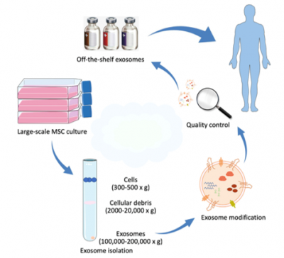 Beranda - PT Prodia StemCell Indonesia