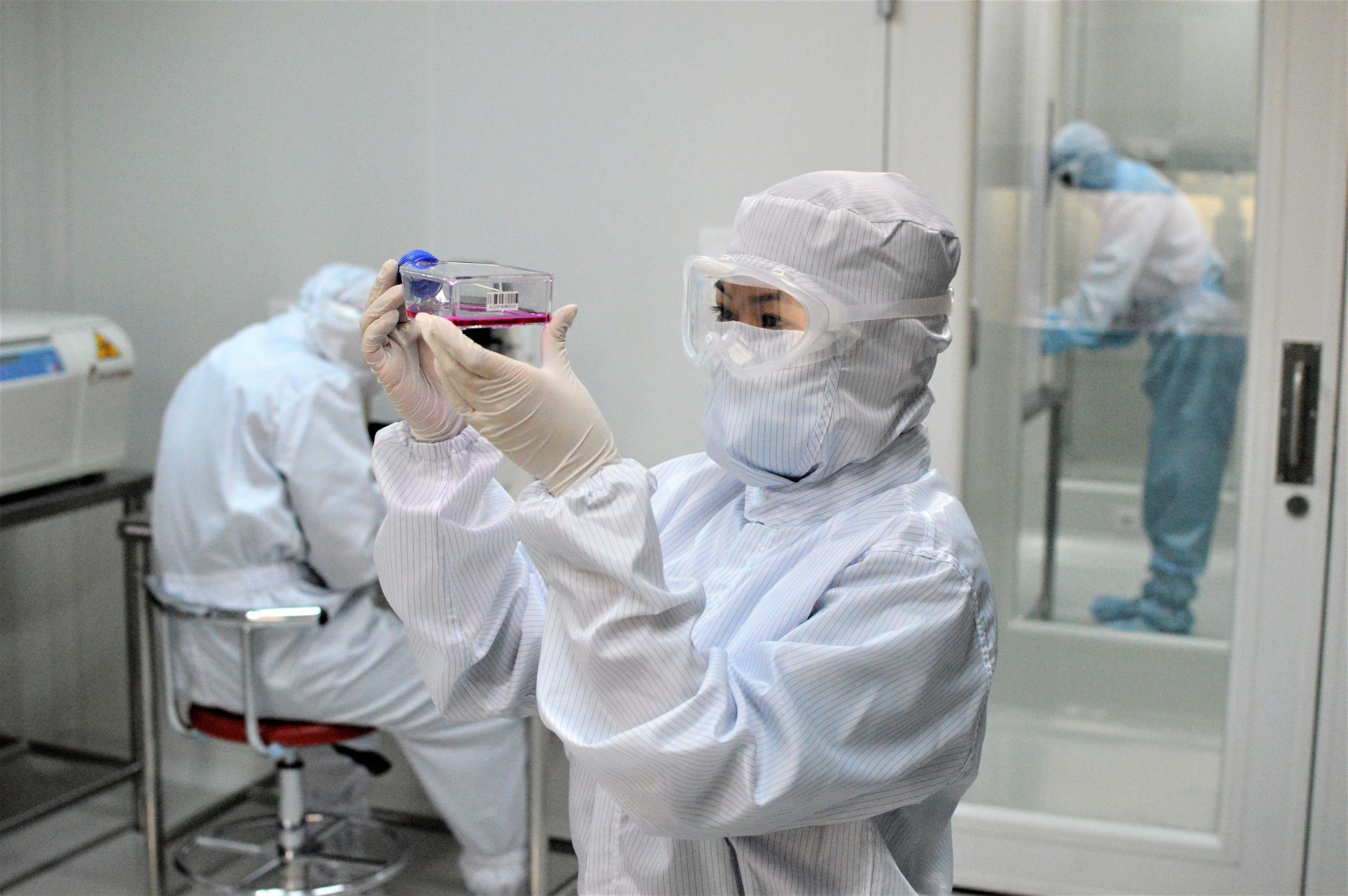 Beranda - PT Prodia StemCell Indonesia