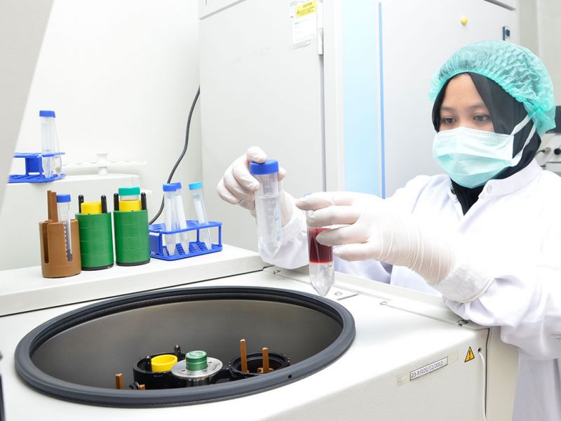 Stromal Vascular Fraction (SVF) - PT Prodia StemCell Indonesia