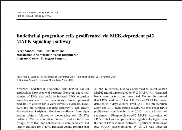 Endothelial progenitor cells proliferated via MEK-dependent p42 MAPK ...
